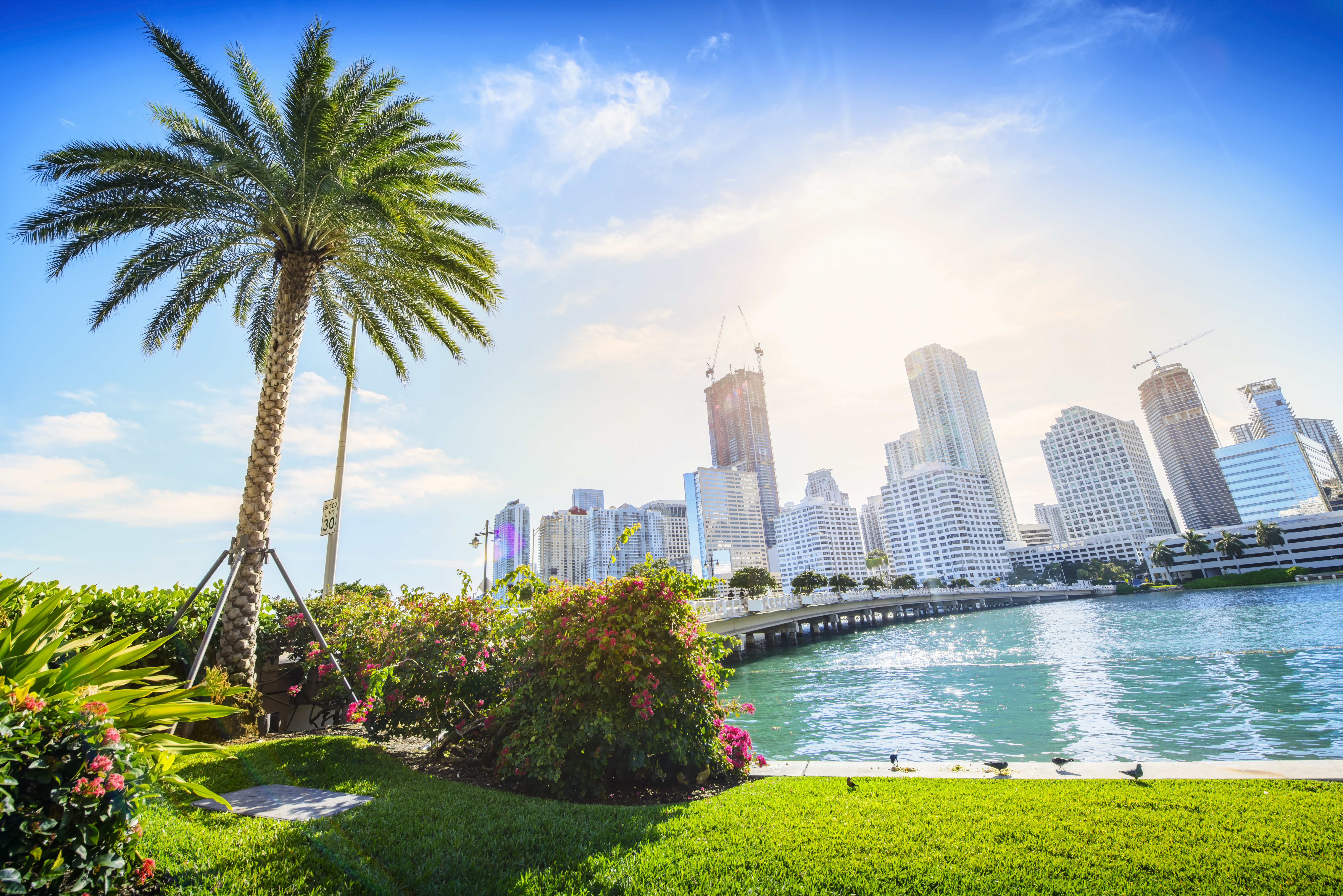 Pink Sands To Palms! Bermuda, Orlando & Miami From Southampton ...